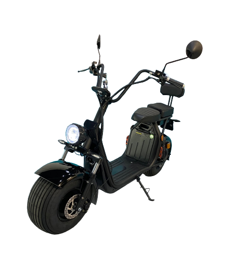 Rayci Fatwheel – Rayci