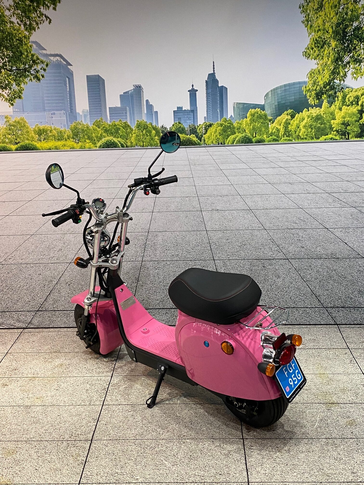 Rayci XS - Roze - Rood - Rood/wit -Groen – Rayci