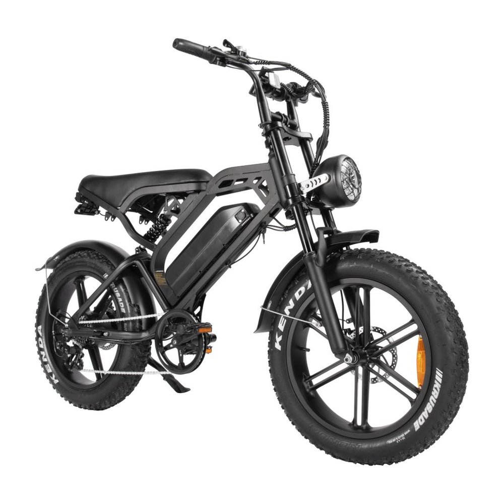 V20 pro Fatbike model 2025 – Rayci